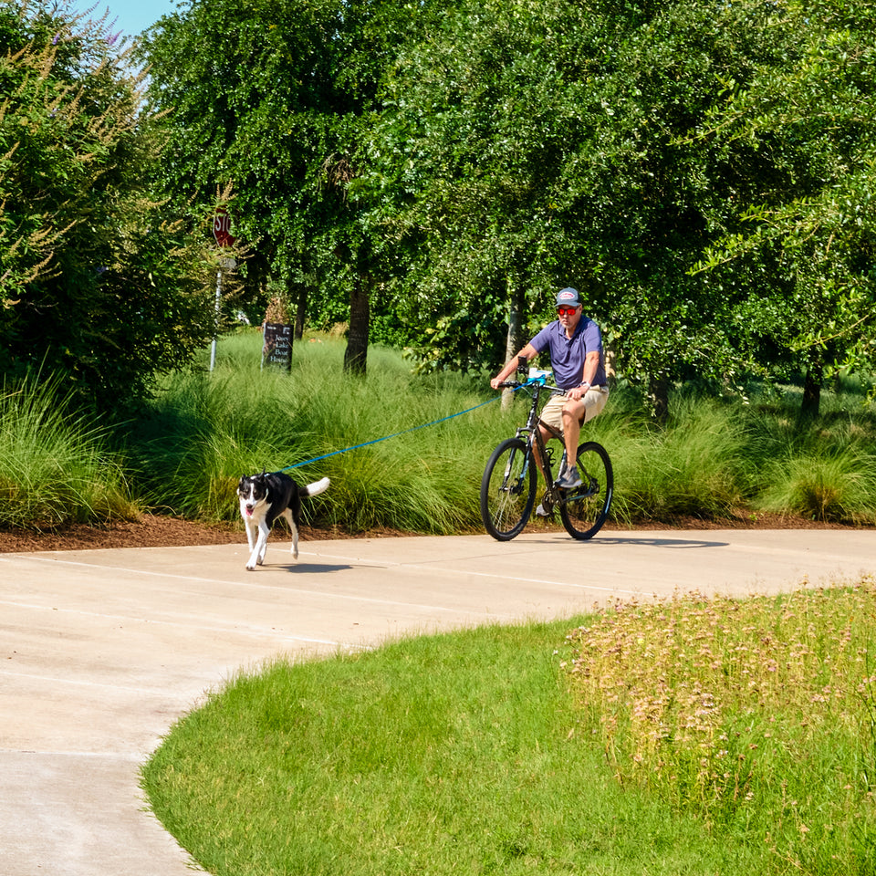 Gallery – Run Dog Bike Leash